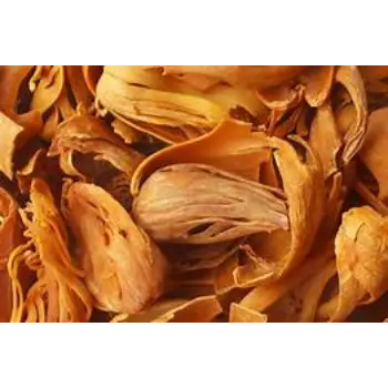 Fresh Mace Spice - Sigma Enterprises from Pune , Maharashtra